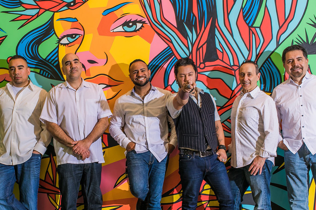 Hire Vibrasion for Private & Corporate Events | Jay Siegan Presents