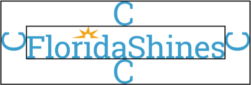 FloridaShines Promotion Flyers Posters Banners and More