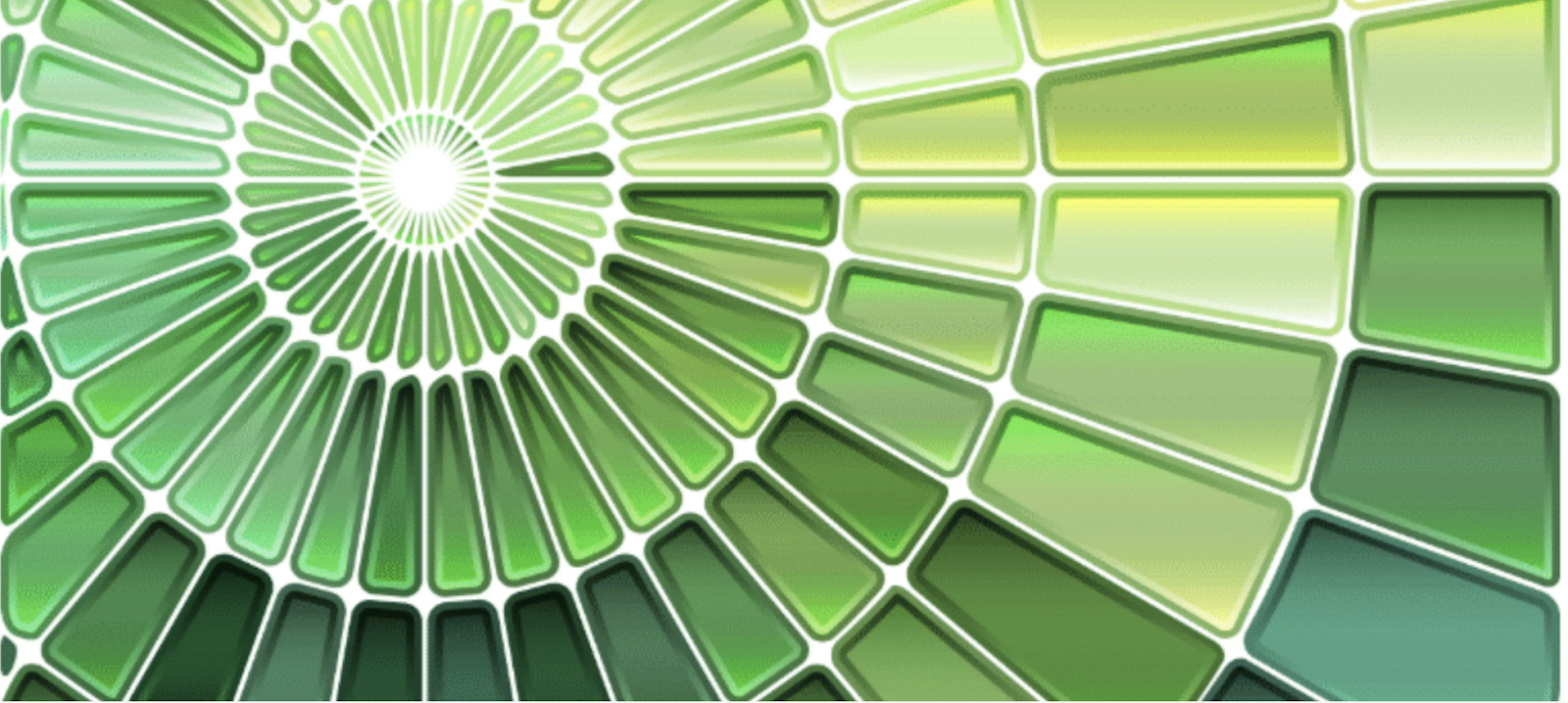 Embracing Natures Curve's~ Circular Shapes in Biophilic Design