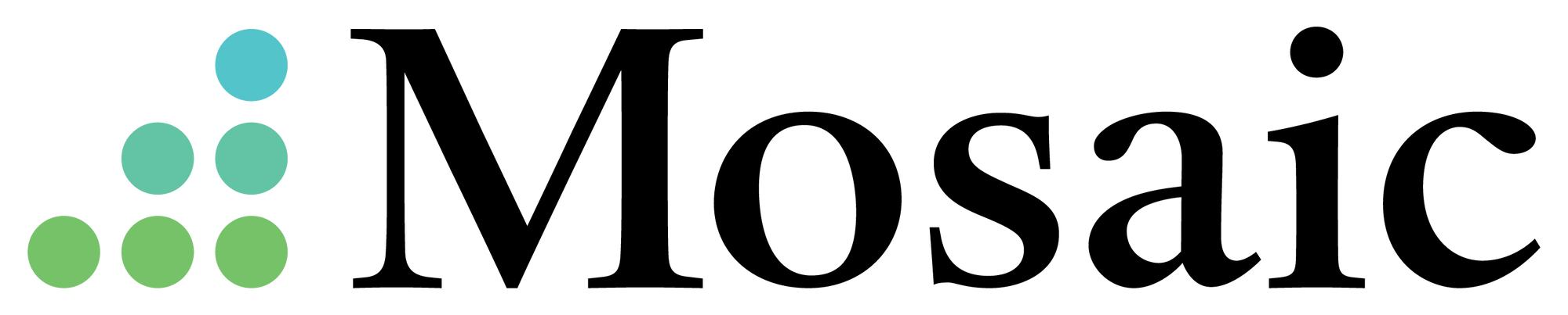 Mosaic – Acquirers and Builders of Software Companies