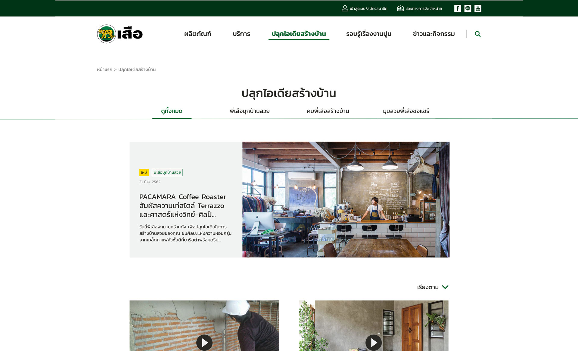 Tiger Web Design & Development