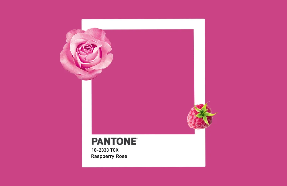 อัปเดต 7 เทรนด์สี 2024 โทนไหนมาแรง ไปเช็กกันเลย