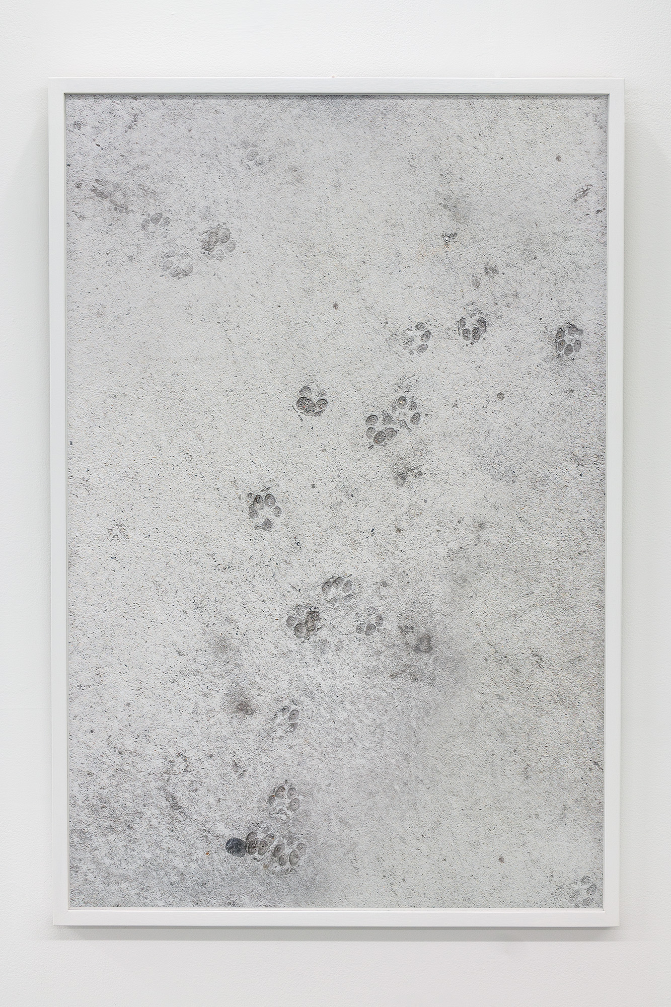 Ghost to Ghost - Aiden Morse