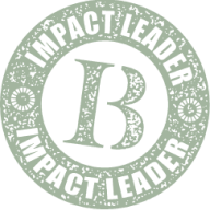 Impact Bridge: Solving global problems through impact investing