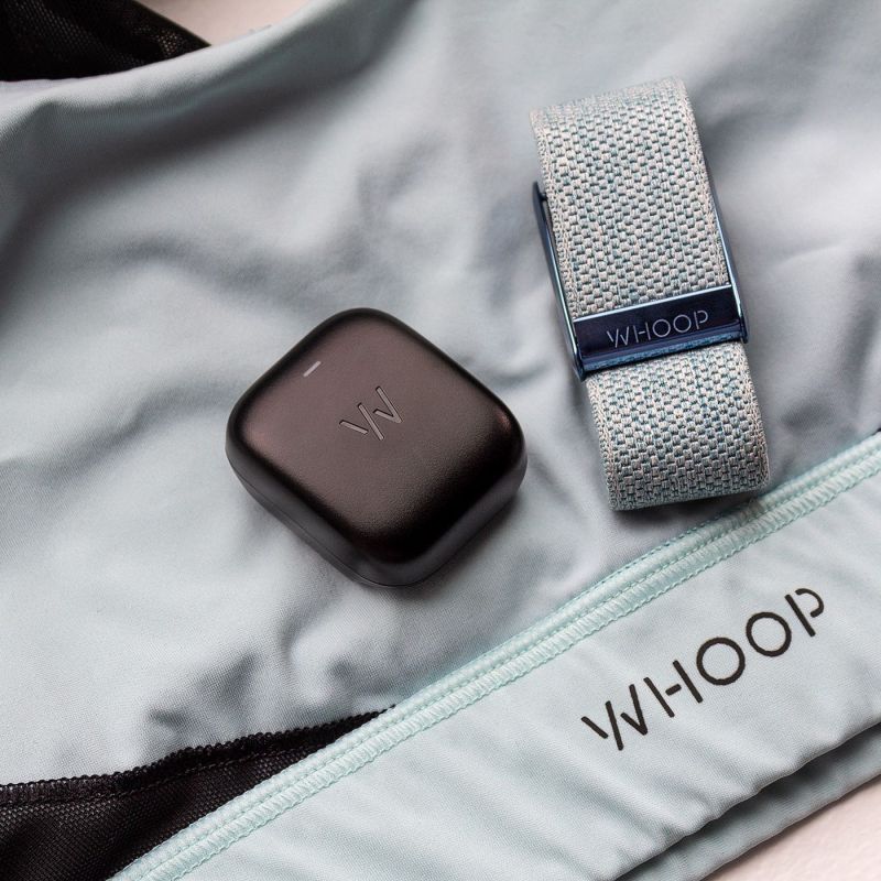 SiteRise Series: Brick-and-Mortar Fantasyland | Vol. 4 | Dec 19, 2023