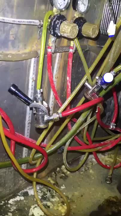 Frequently Asked Questions | Renny's Draft Solutions