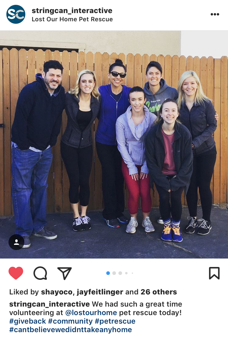 From a Previous Intern: What to Expect from a #StringTernship | Rachel ...