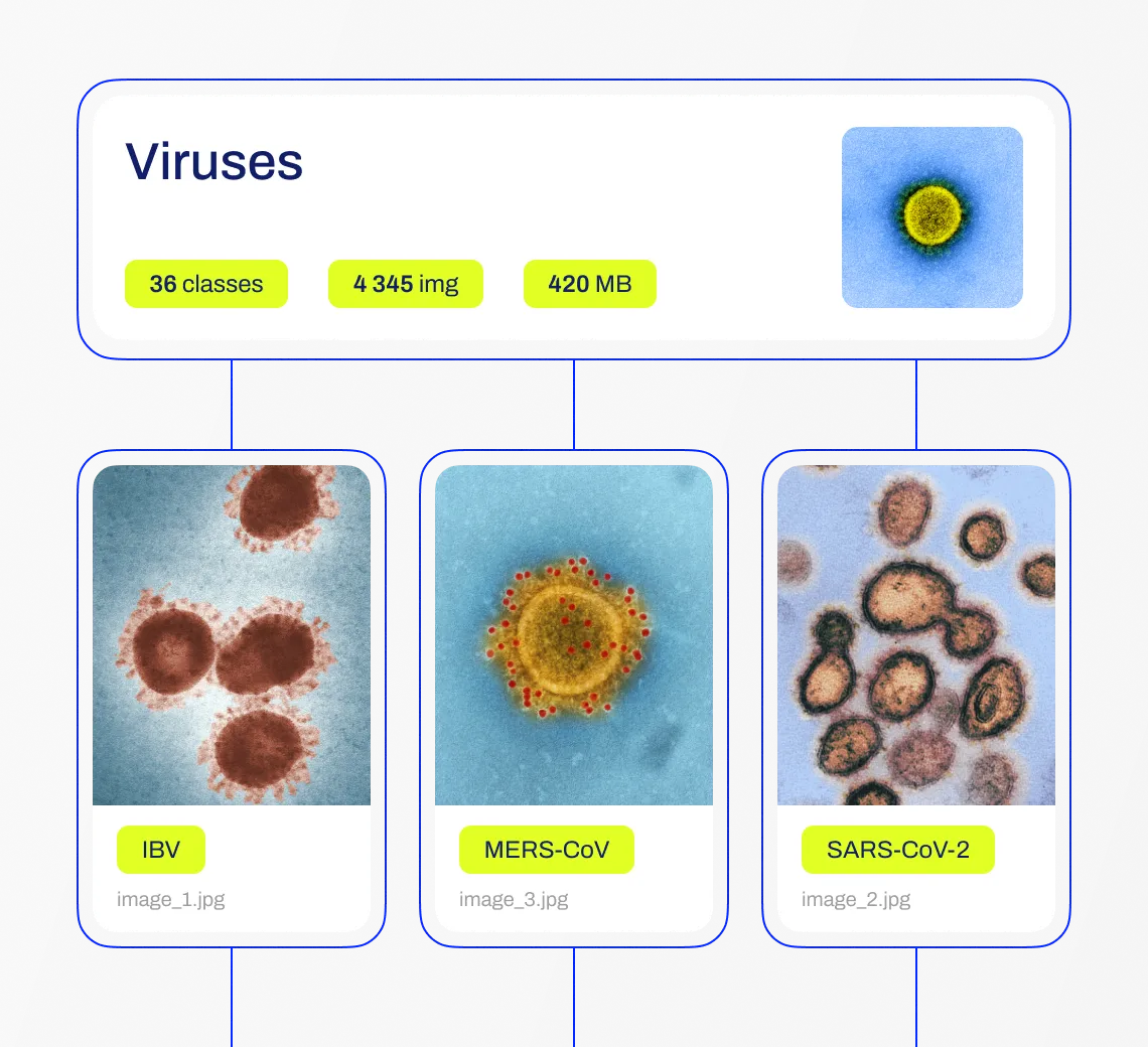 Ultralytics | 비전 AI의 세계 혁신