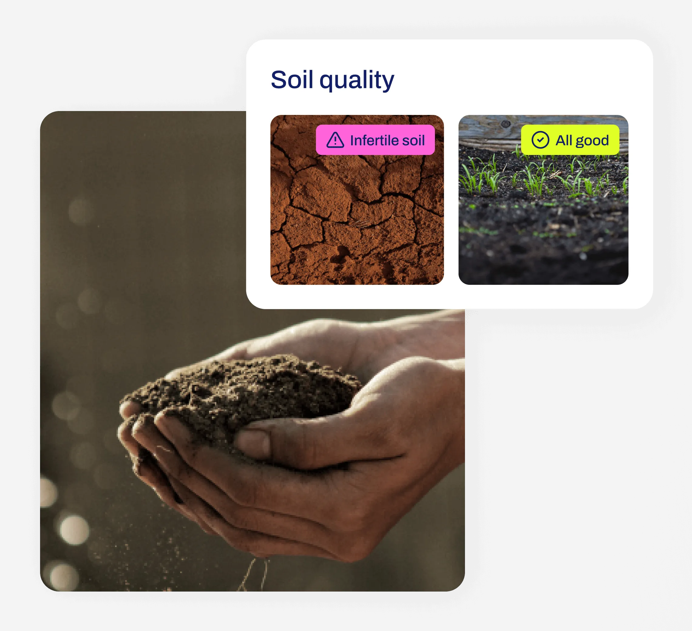 AI in Agriculture | Vision AI to boost productivity & save costs