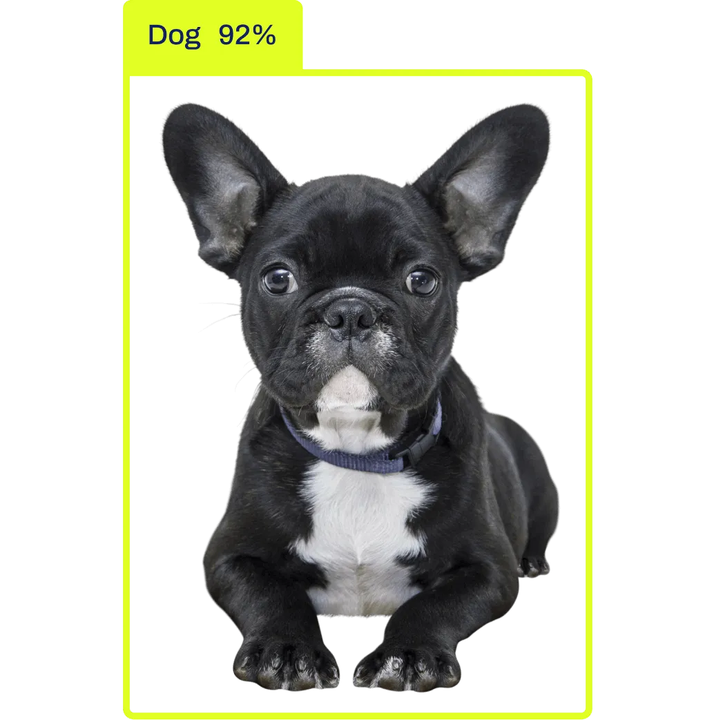 Ultralytics | Revolutionizing the World of Vision AI