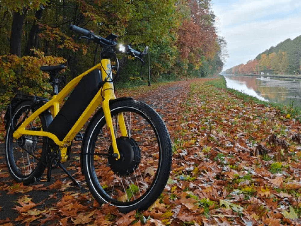 Ellio Max - Ellio E-bike