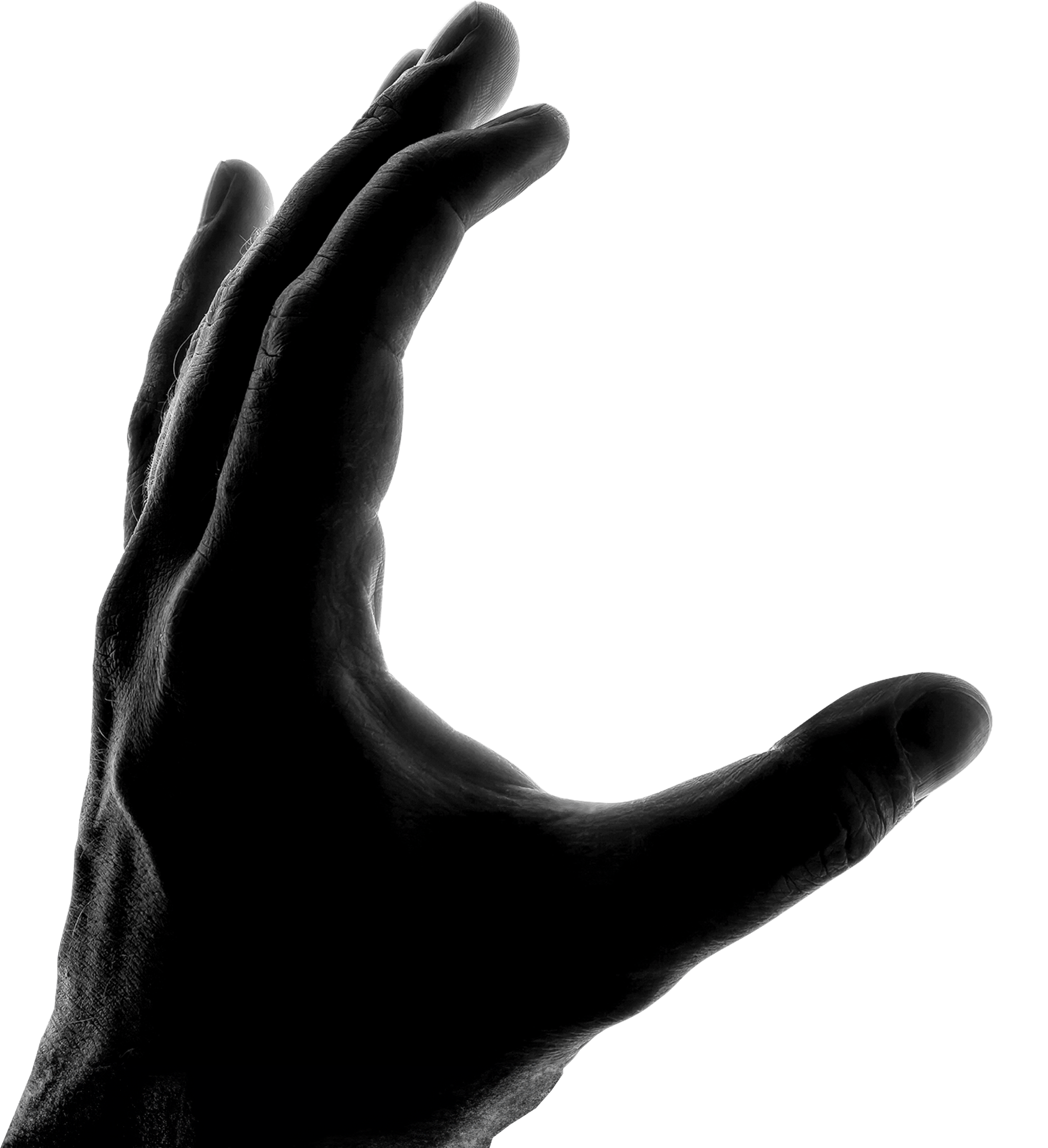 pRxcision | Infectious Disease Artificial Intelligence