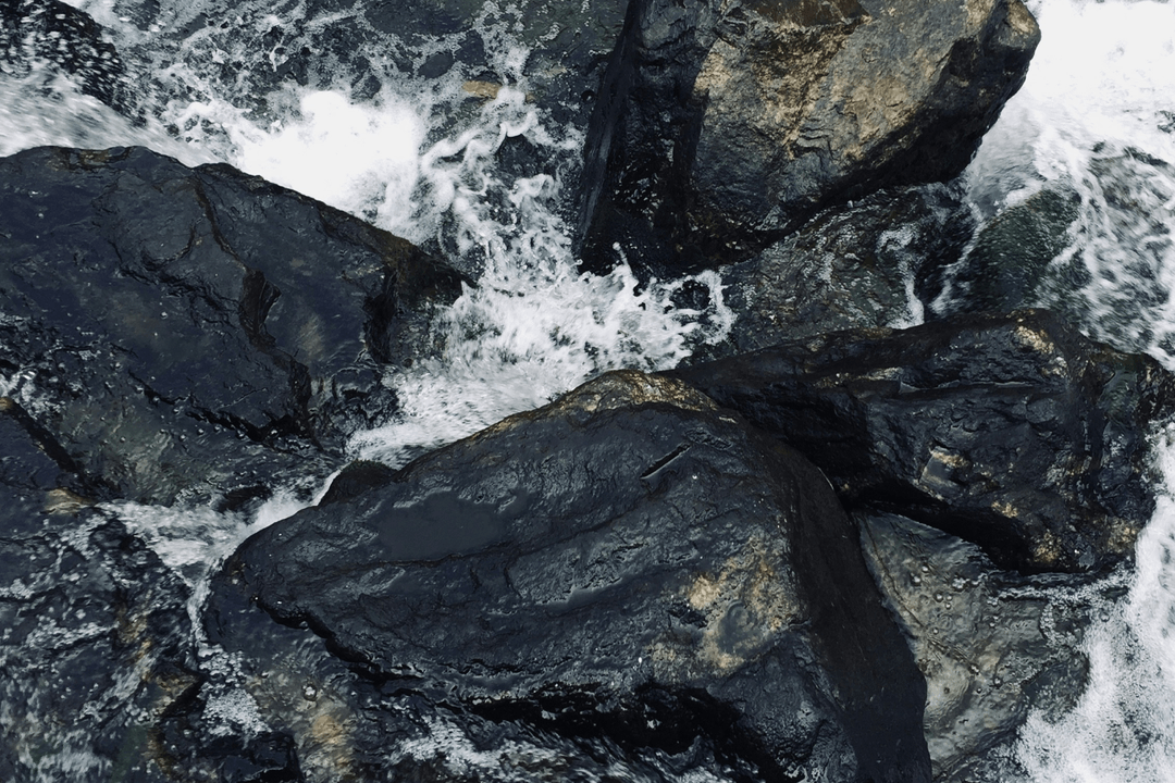 Platform - Mangrove Nexus | Carbon System of Record for CDR & CCS dMRV