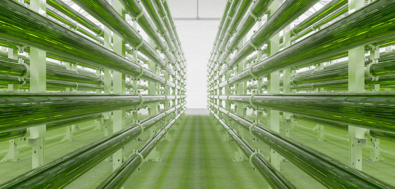 An introduction to MRV in carbon markets