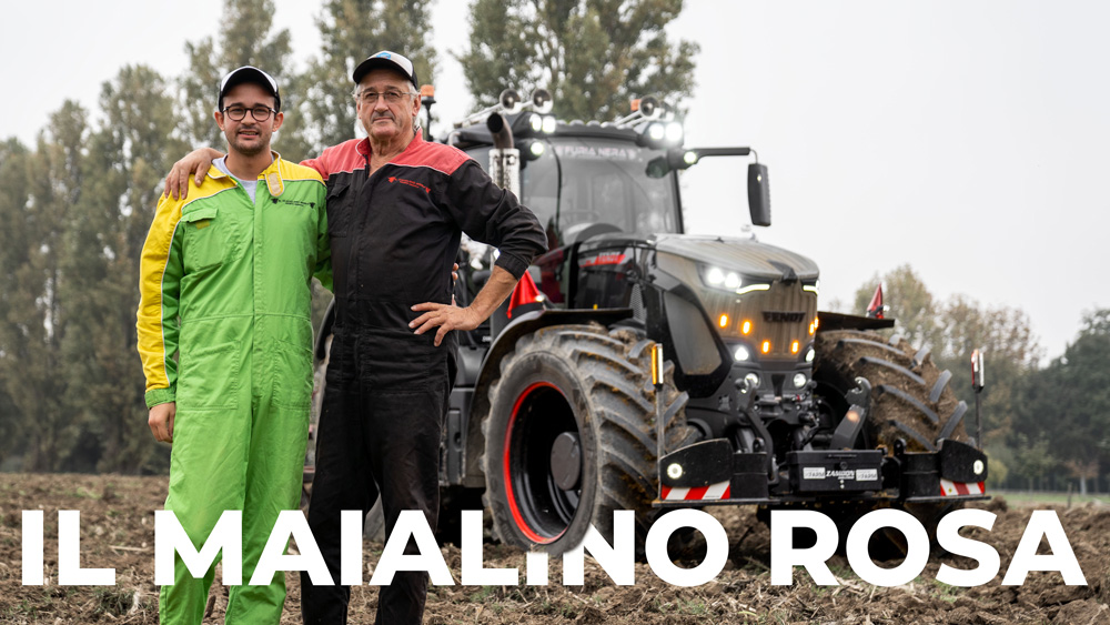 Il Maialino Rosa: Stefano Bellia nos presenta su empresa