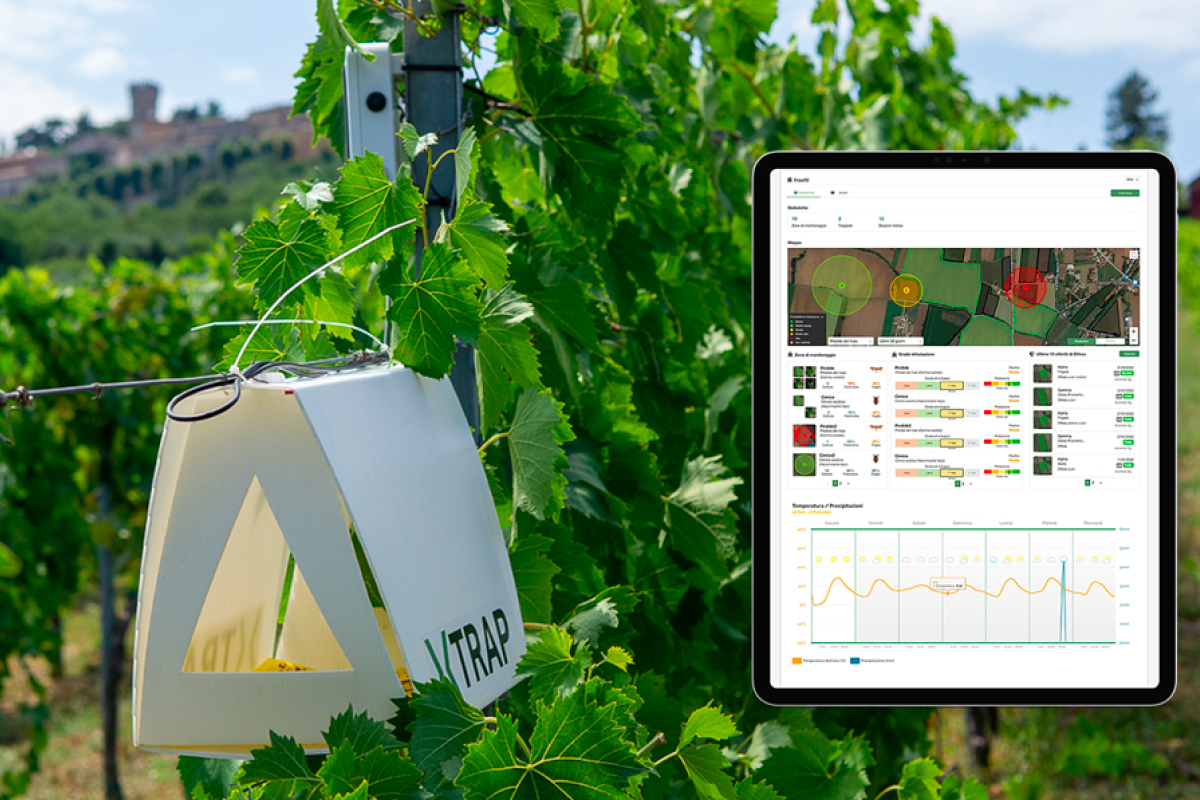 xFarm Technologies obtiene 1 millón de euros de EIC Accelerator para ...