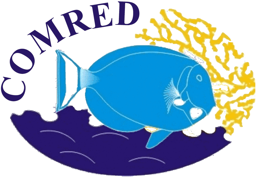 COMRED | Supporting thriving communities and coastal cities along the WIO