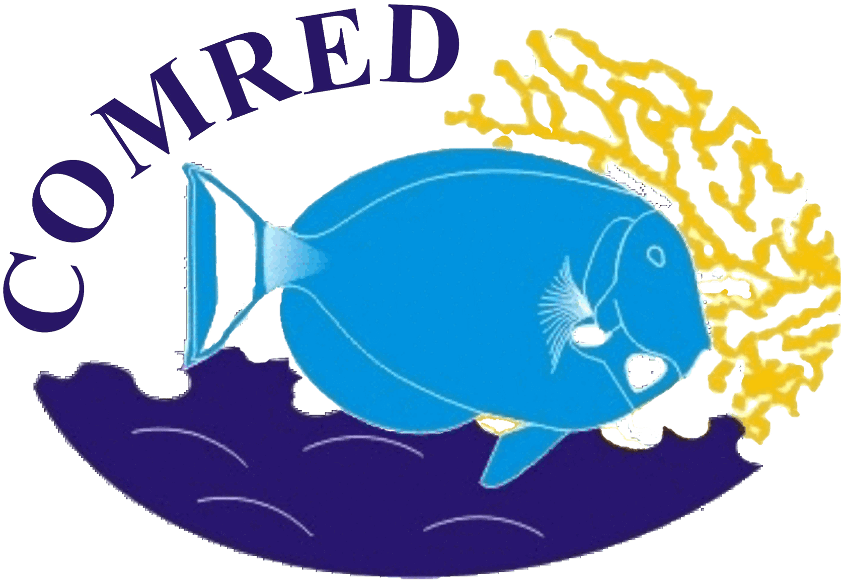 COMRED | Supporting thriving communities and coastal cities along the WIO