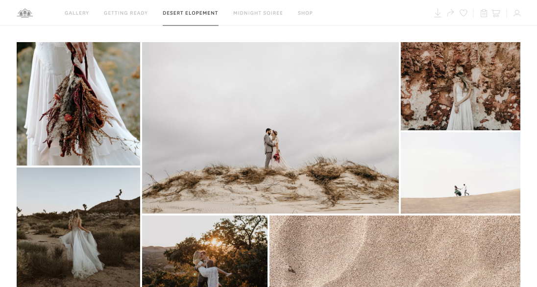 More Than a Gallery Sharing Platform | Pass Gallery