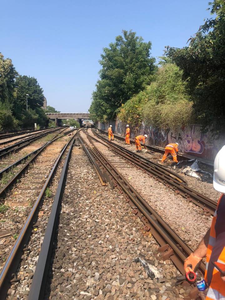 Framework Success Announcement - Ruc