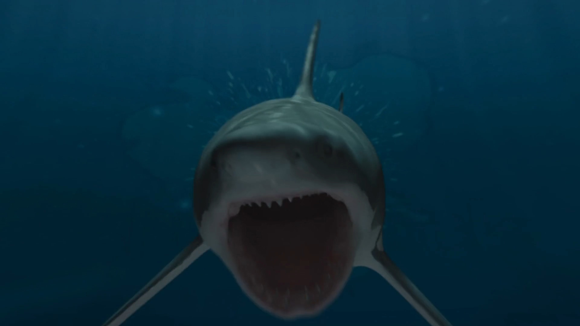 Showcase - Explanimate