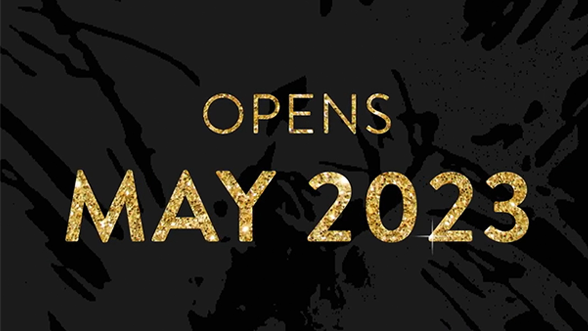 Campaign videos — Explanimate!