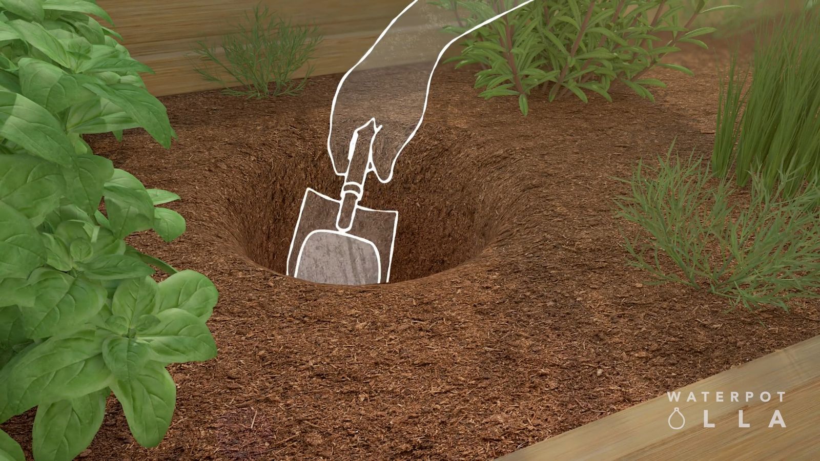 Interactive 2d / 3d — Explanimate!