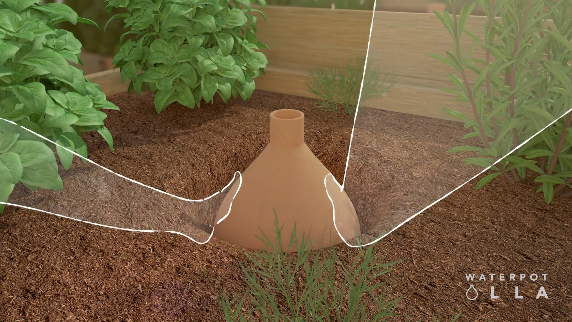 Interactive 2d / 3d — Explanimate!