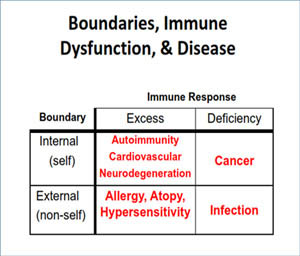 Immune Deficiencies | Groton Wellness