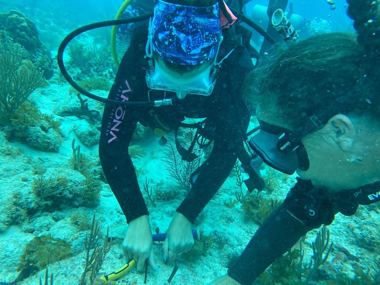 Ocean Heroes Program - Inspiring Environmental Stewards for Our Oceans