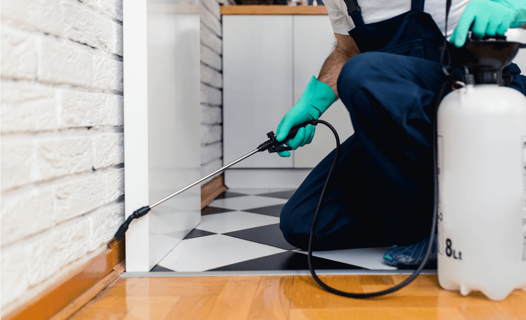 On Demand Pest Control