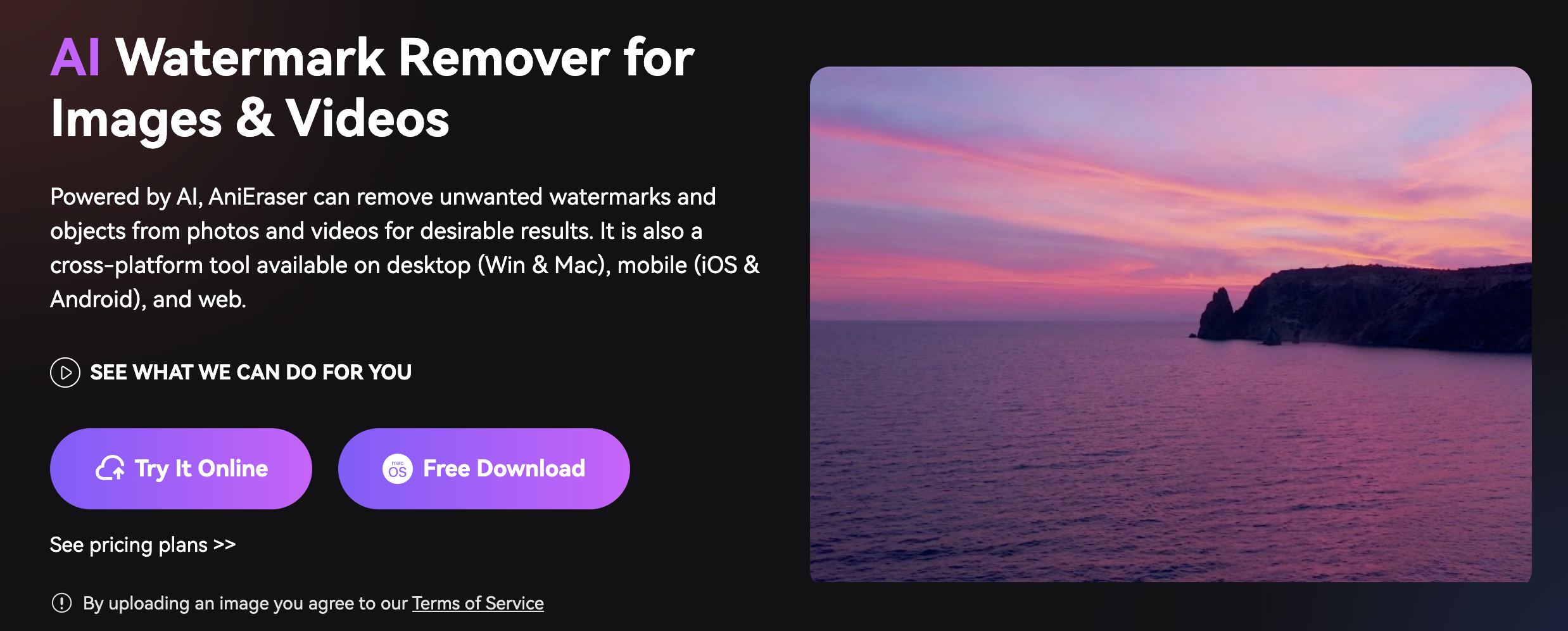 Top 9 Free Online AI Watermark Removers | ScreenApp Blog