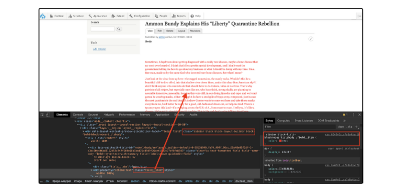 Layout Builder Asset Injector module