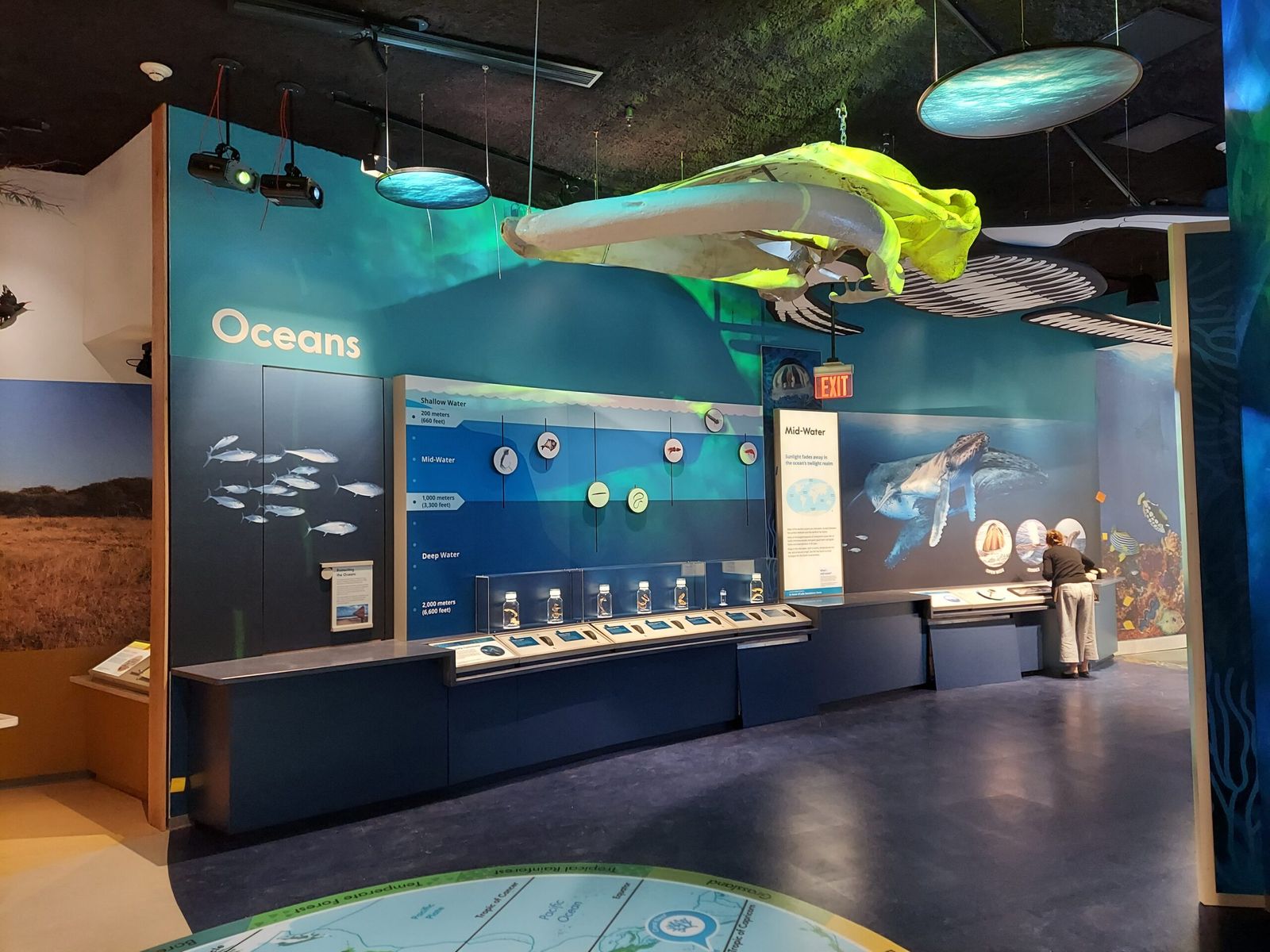 All Projects | Smart Monkeys, Inc.