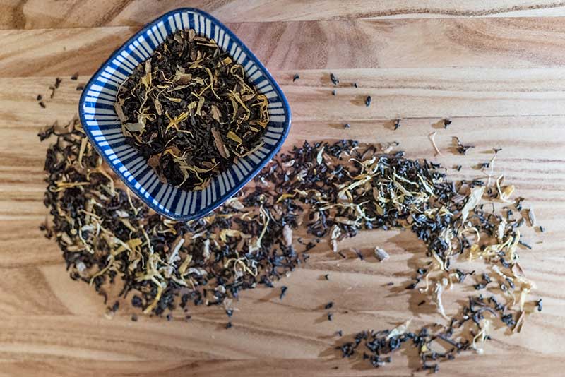 The Elegant Elephant