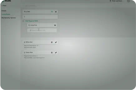 Easily Manage Student Ranks & Levels | MyStudio