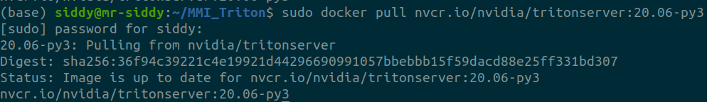 Multi-Model Inference with NVIDIA Triton Inference Server