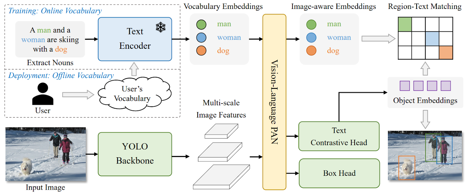 YOLO-World: Seeing Beyond Labels