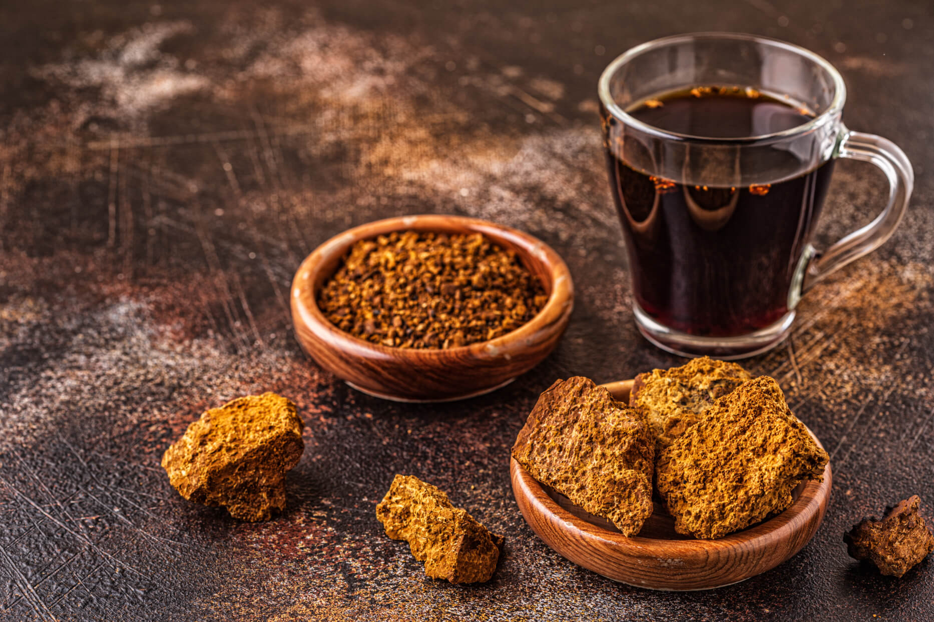 Chaga: The Secret Weapon for Your Immune System? | Mystic Spores