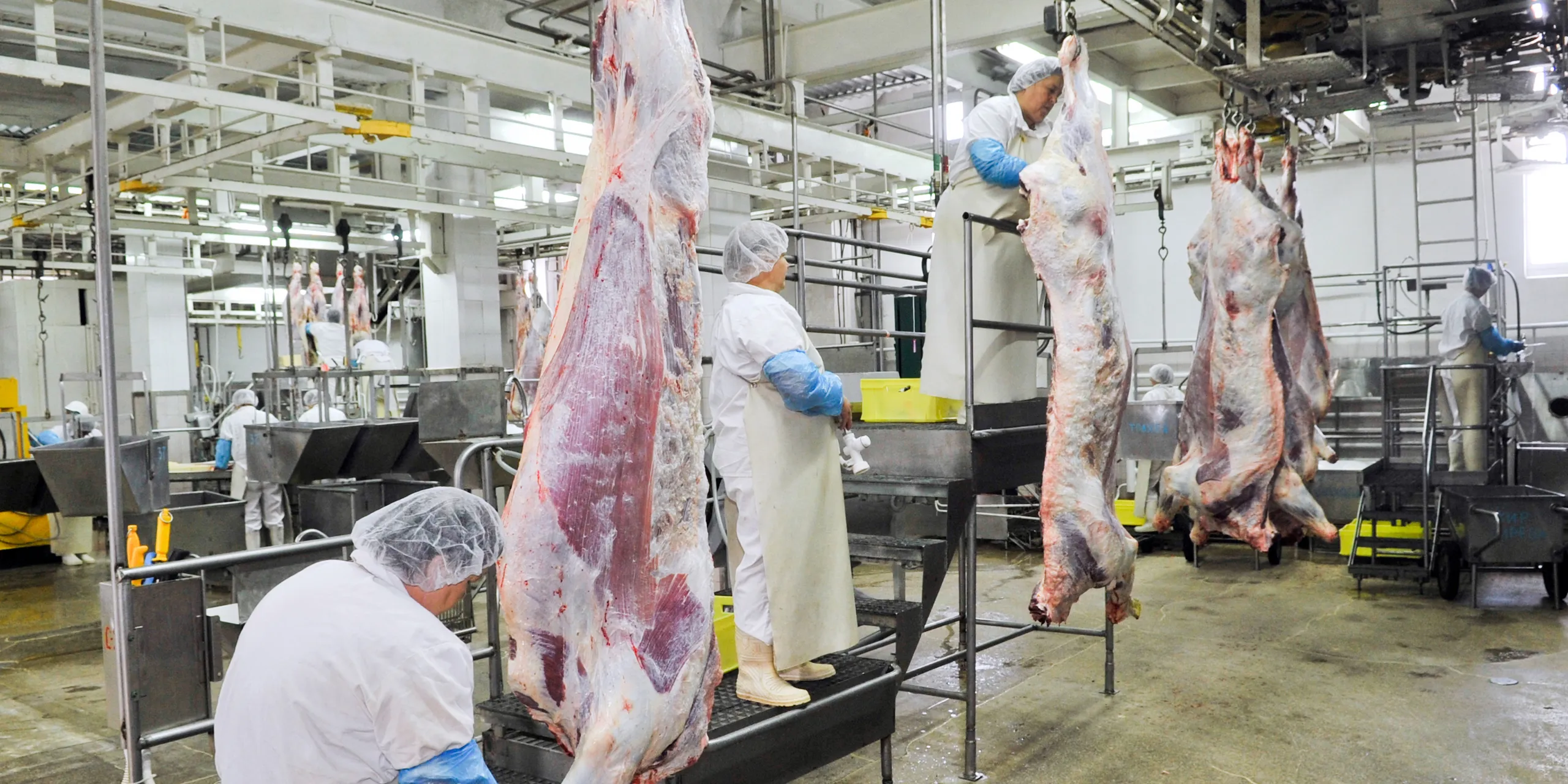 Task Labour Australia