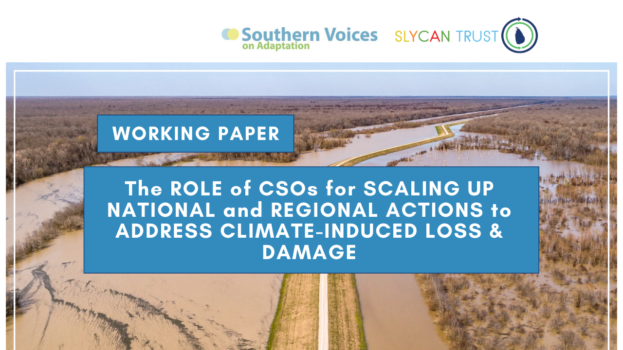 The Role of CSOs for Scaling Up National and Regional Actions to ...