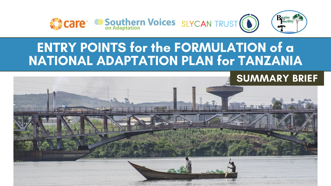Summary Brief: Entry Points for the Formulation of a National ...