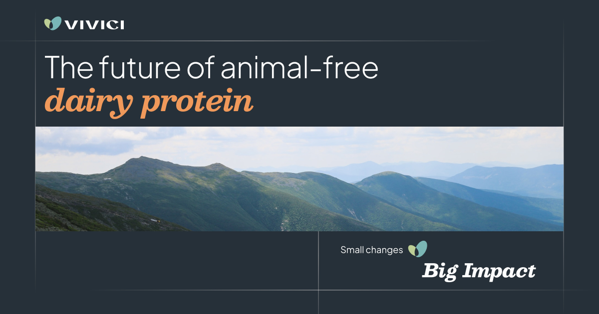Vivici - The future of animal-free dairy protein