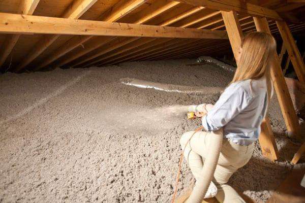 Rodent Removal From Attic Guide | Green Attic Insulation