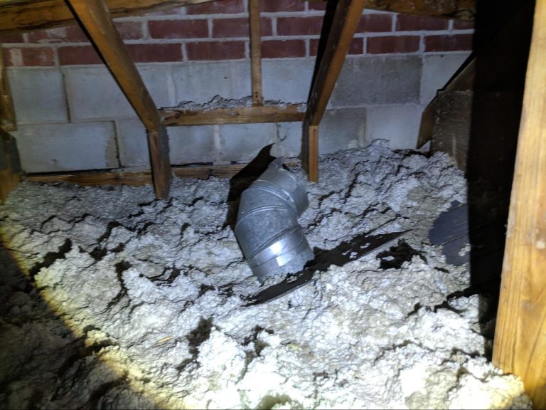 Rodent Removal From Attic Guide | Green Attic Insulation