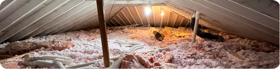 Understanding Attic Mold: A Green Attic Insulation Guide