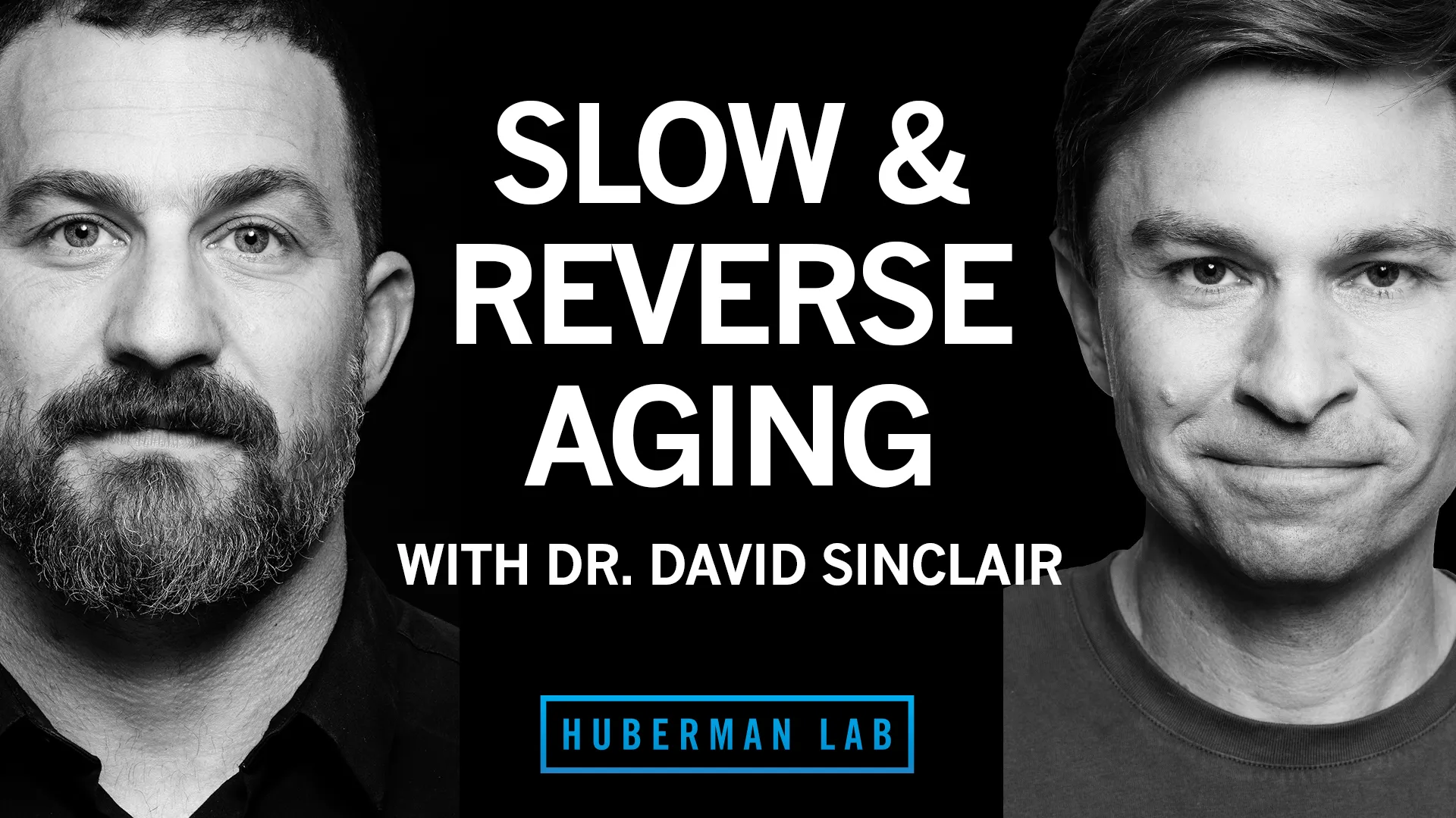 Dr. David Sinclair: The Biology of Slowing & Reversing Aging - Huberman Lab