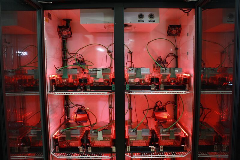 Environmental Enclosures | Life Science Products | Columbus Instruments