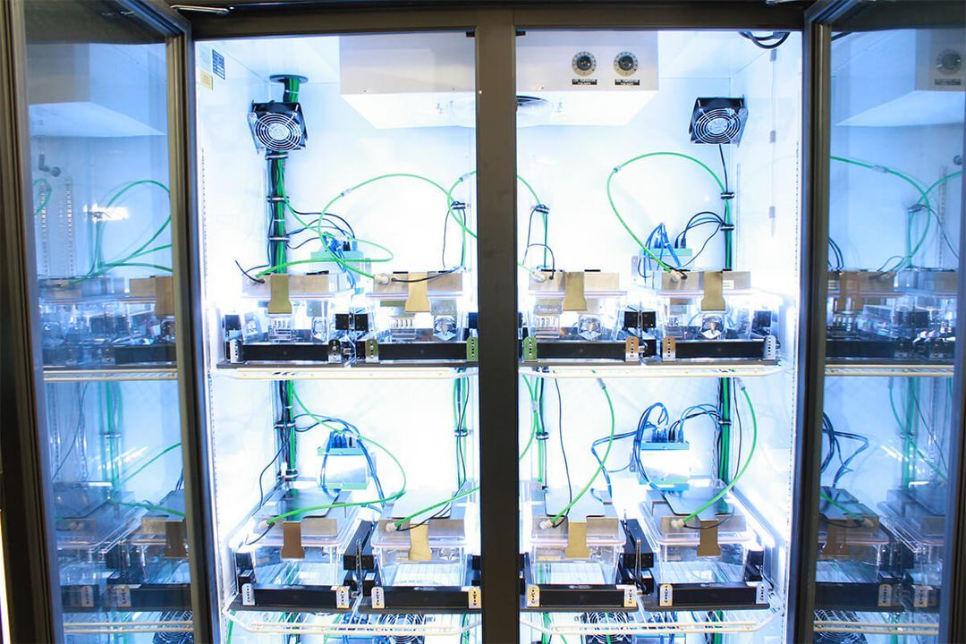 Environmental Enclosures | Life Science Products | Columbus Instruments