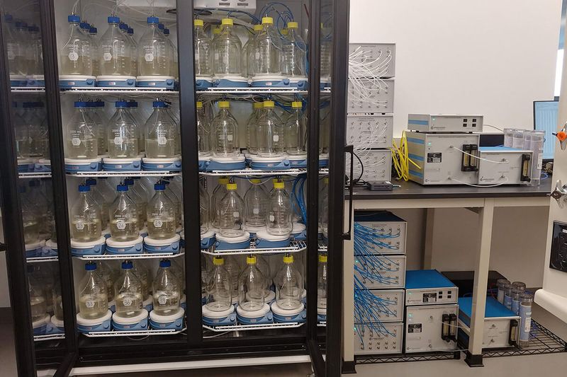 Micro-Oxymax | Environmental Products | Columbus Instruments